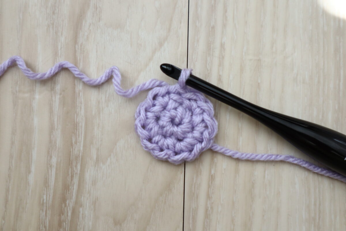 The Elusive Linen Stitch Circle - The Snugglery